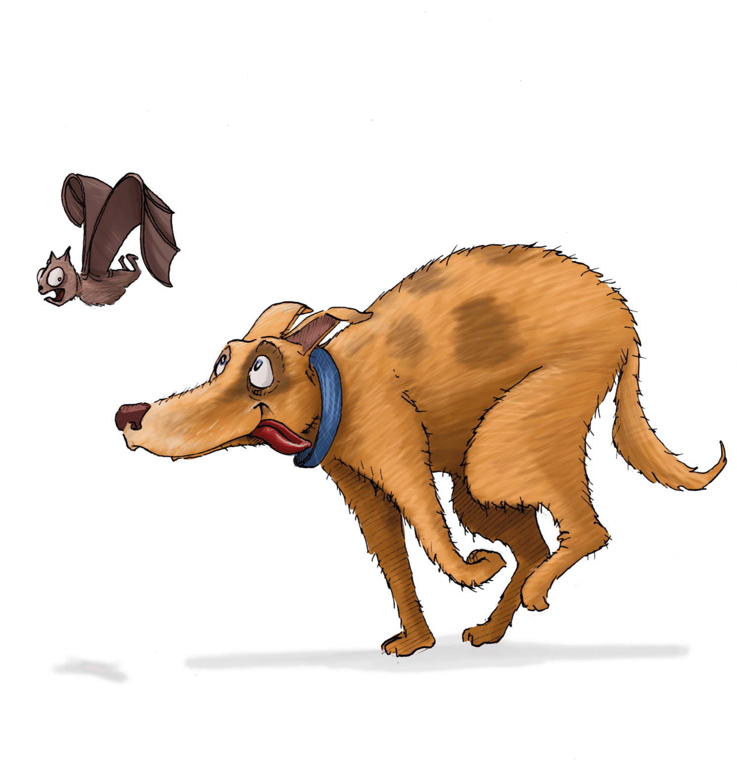 Ouaf – Le chien – Contes Dessinés